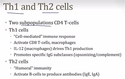 Igm Class Switching Should Be Mediated By Both Th1 And Th2 Cells No