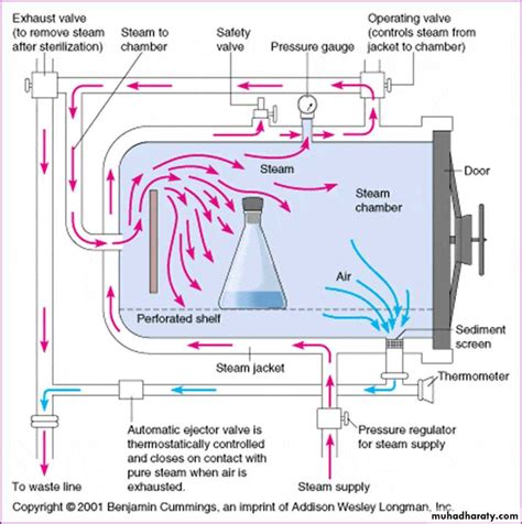 Sterilization3 Pptx دسميرة Muhadharaty