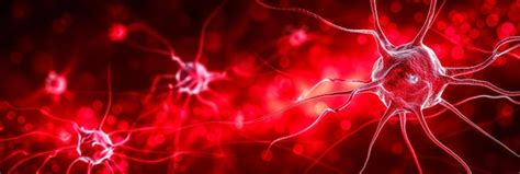 Abstract Medical Background With Interconnected Neuron Network Of Brain Cells On Dark Backdrop