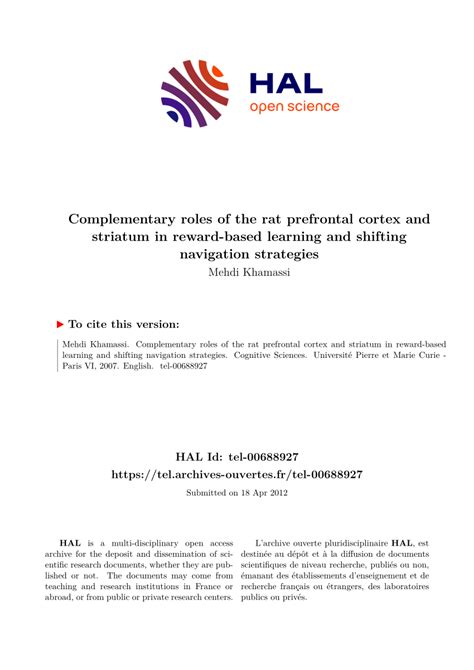 Pdf Complementary Roles Of The Rat Prefrontal Cortex And Striatum In