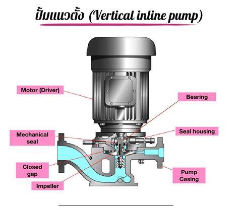 Vertical Inline Pump