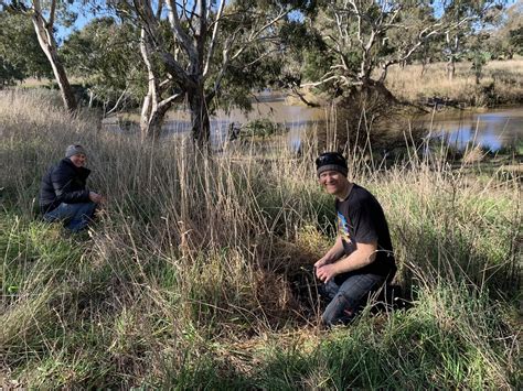 Six Ways Trees Help Our Rivers Fifteen Trees