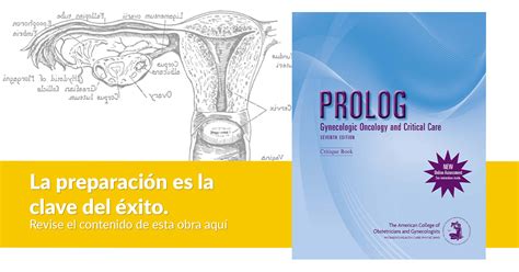 Libro Prolog Gynecologic Oncology And Critical Care 7th Edition En Campus