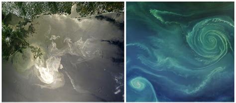 Unveiling Oceanic Flows Understanding Lagrangian Coherent Structures Lcs And Their Impact On