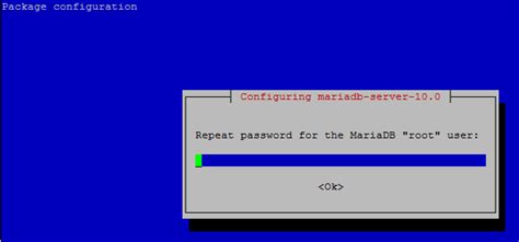 Install Apache PHP MariaDB LAMP With PhpMyAdmin On Raspberry