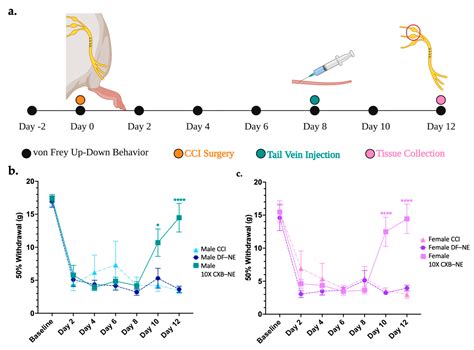 Rna Seq Reveals Sex Differences In Gene Expression During Peripheral