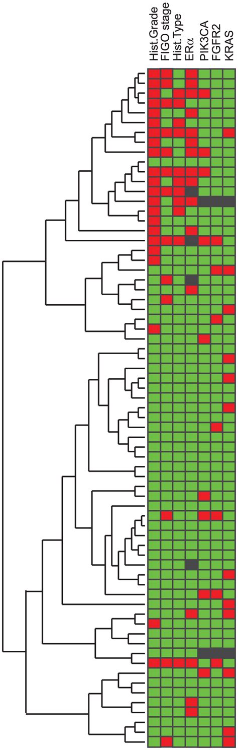 Mutational Status Is Not Reflected In Distinct Patient Clusters Related
