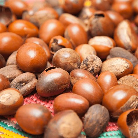 Le Beurre De Karité Lîle Ô Karité