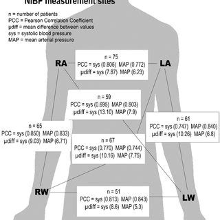 Comparative Analysis Between Four Common NIBP Measurement Sites Download Scientific Diagram