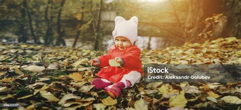 빨간 코트를 입은 사랑스러운 즐거운 아기가 가을 나뭇잎을 손에 들고 화창한 가을날 나뭇잎에 앉아 시선을 돌린다 가을 공원에서 한 살짜리 매력적인 아이 어린 시절의 감정 개념