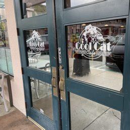 Cool Cat Cafe San Luis Obispo Updated May 2026 221 Photos And 270