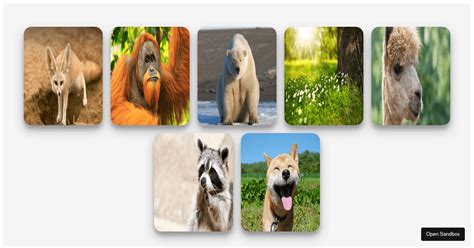 React Card Image Gallery Examples Codesandbox