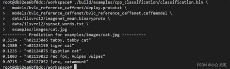 caffe编译与caffe源码分析 csdn博客