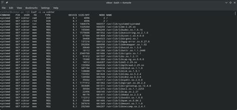 Linux Lsof コマンド Linux Hint Maria Kani Linux Lsof コマンド Linux Hint Maria Kani