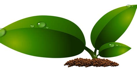 Sistema Di Irrigazione Con Arduino V2 Danielealbertiit