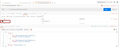 C Net Core 21 Post An Iformfile Using Postman The Application