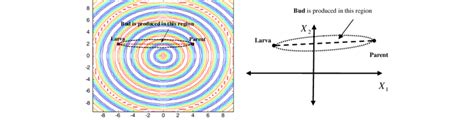 Region In Which Bud May Be Generated By Using Different Reproduction Download Scientific