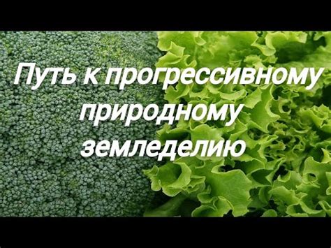 Минералы для растений из микробов - YouTube