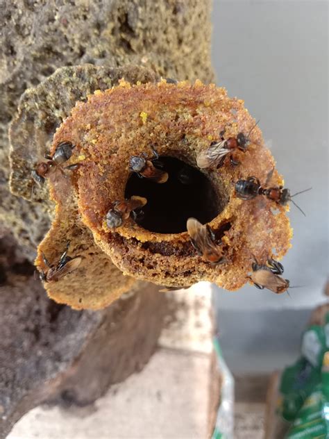 Kelab Rekreasi Integrasi Dan Sukan Hospital Port Dickson