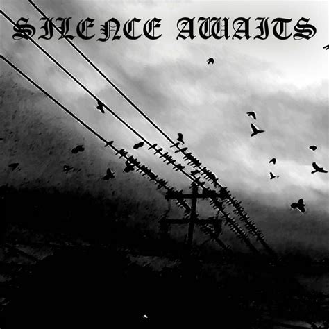 Silence Awaits Human Dissection 2025