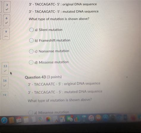 Solved 3 TACCAGATC 5 Original DNA Sequence 3 Chegg Com