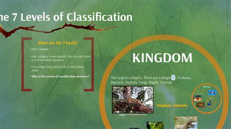 The 7 Levels Of Classification By On Prezi