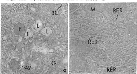 Figure 2 From Designing High Refractive Index Polymers Using Materials Informatics † Semantic