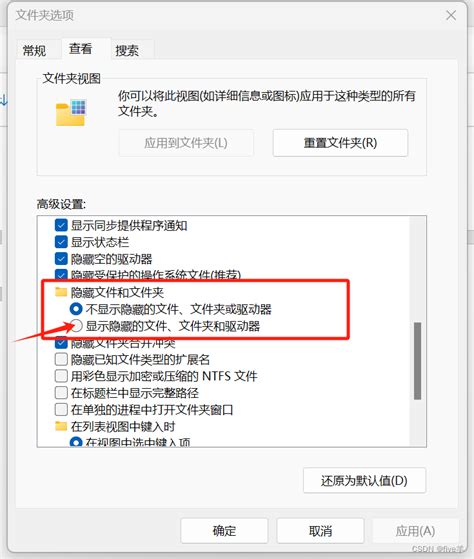 无法根据给定路径找到具体文件，找不到appdata 按文件路径内存里找不到文件夹 csdn博客
