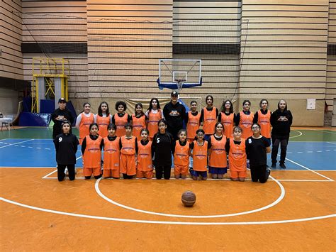 آرش بسکتبال سامانه مدیریت و ثبت نام مب آرش