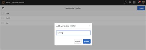 Aem Developer Learning Metadata Profiles In Dam Aem 63
