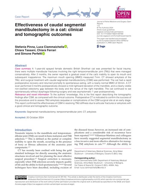 Pdf Effectiveness Of Caudal Segmental Mandibulectomy In A Cat Clinical And Tomographic Outcomes
