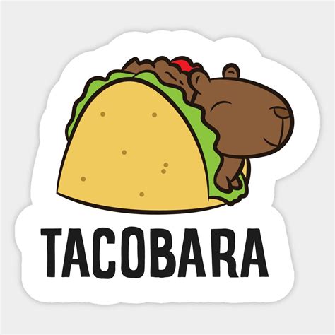 tacobara funny capybara tacos by eqdesigns dibujos de palomas