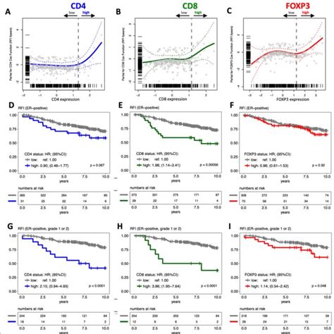 Association Between Cd4 Cd8 And Foxp3 Expression And Relapse Free