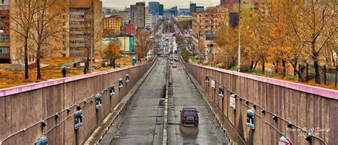 БЗД ийн 1 р хорооны Цоглог залуус