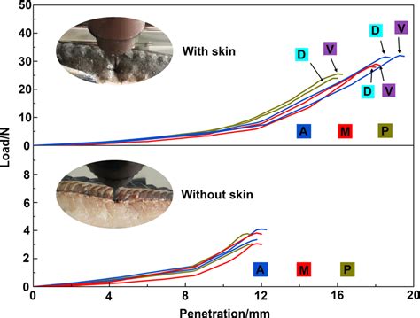 Penetration Tests Under Two Different Conditions With And Without Skin Download Scientific