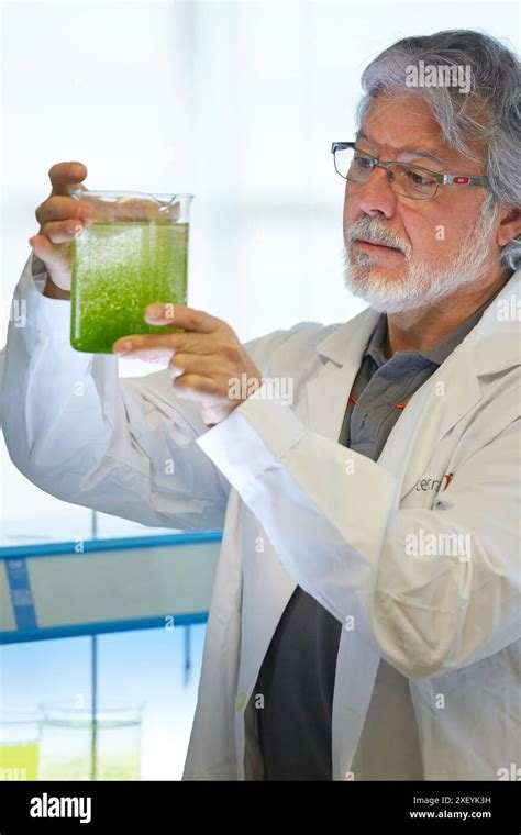 Algae Culture Algae Biofuel Research Organic Laboratory Energy And
