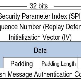 Data Structure Of ESP Tranport Mode In IP Payload Download Scientific Diagram