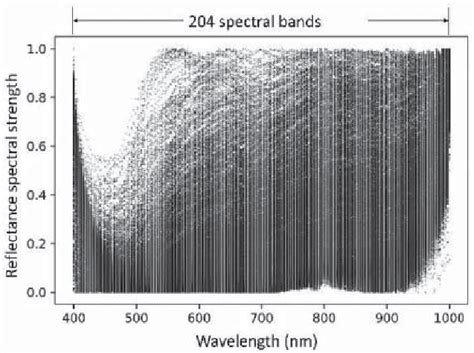 Rock Hyperspectral Signatures From A Database With Eight Igneous Rock Download Scientific