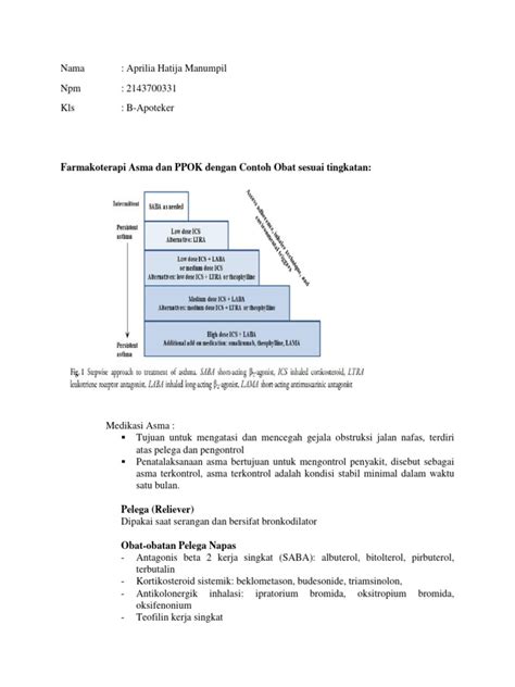 Contoh Obat Dr Algoritma Asma Dan Ppok Pdf