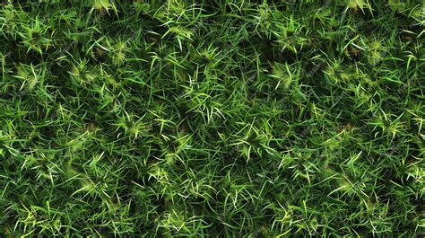 Premium Photo Green Grass Texture Background High Resolution Seamless