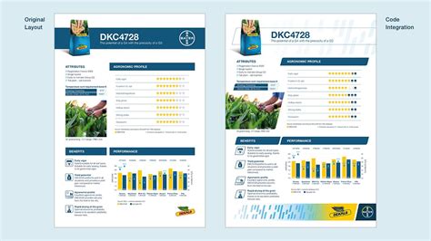 Layout Grid Identity Net Portal