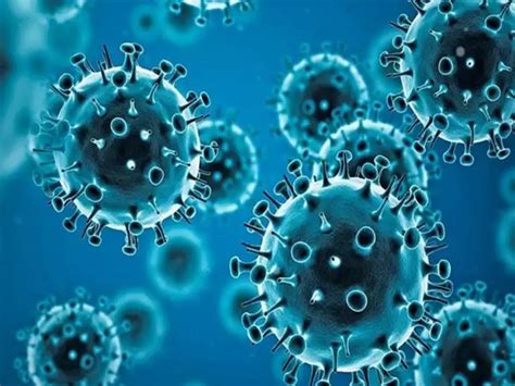 Hmpv Virus China Is China Facing Another Pandemic Five Years After