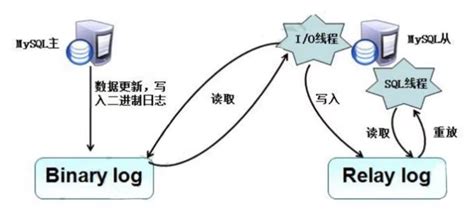 Mysql主从复制mysql主从复制csdn Csdn博客