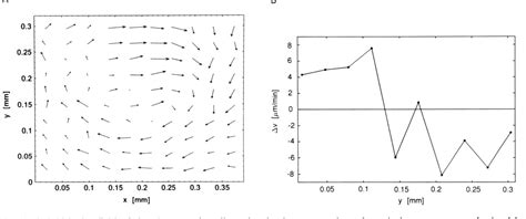 Figure 2 From Spatial Attractors In Aggregation Patterns Of Dictyostelium Discoideum Semantic