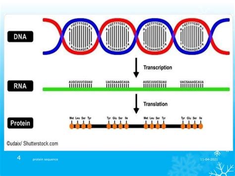 Protein Sequencing Ppt