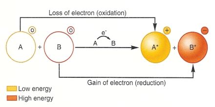 Redox Reactions Assignment Point