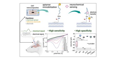 The Development Of Aptamer Coupled Microelectrode Fiber Sensors Apta