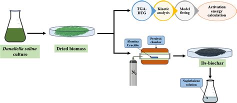 Microalgal Biomass Valorization Biochar As An Effective Solution For Naphthalene Removal From