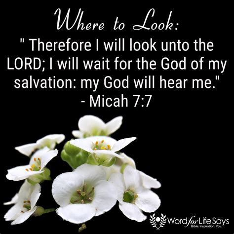 Where To Look Word For Life Says