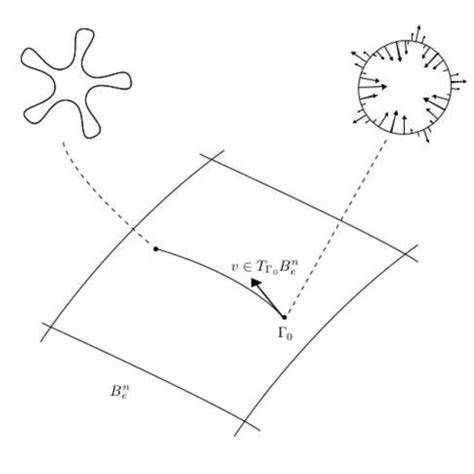 Illustration Of A Shape Tangential Vector From T B N E For M S 1 Download Scientific Diagram
